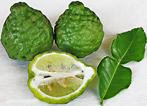 Kaffir Lime Shampoo Available Now @$15.00! – Your Discount Super Store ...